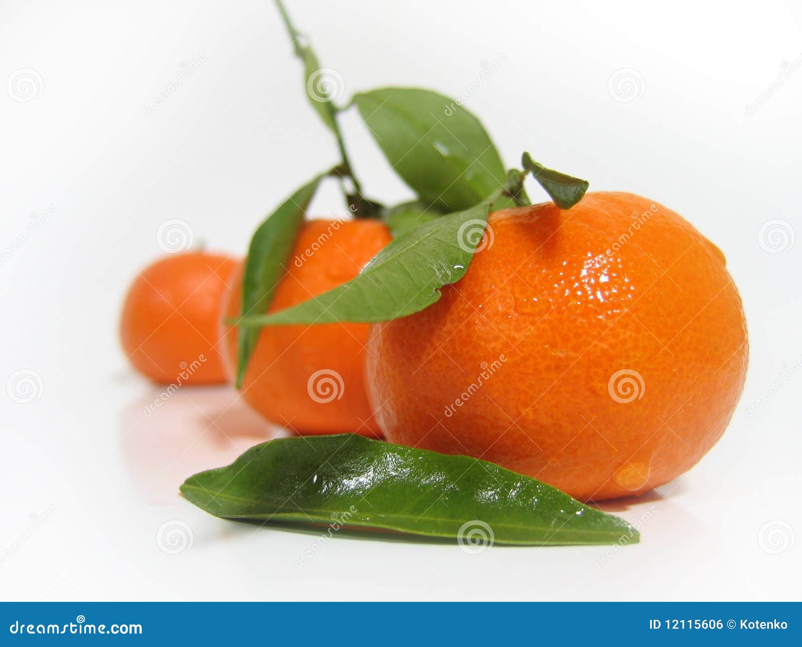 Mandarines stock photo. Image of color, close, freshness - 12115606