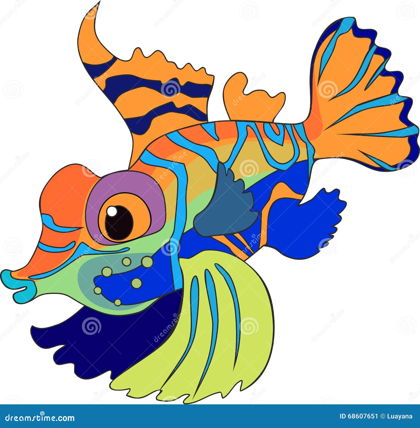 Mandarinfish stock vector. Illustration of mandarin, saltwater - 68607651