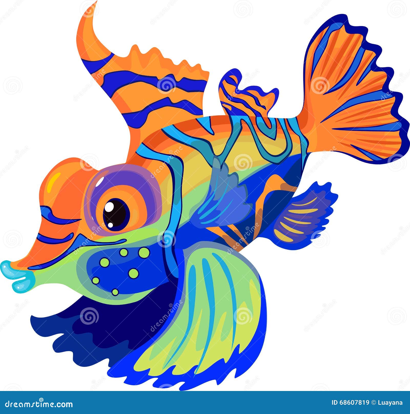 Mandarinfish stock vector. Illustration of drawing, aquatic - 68607819