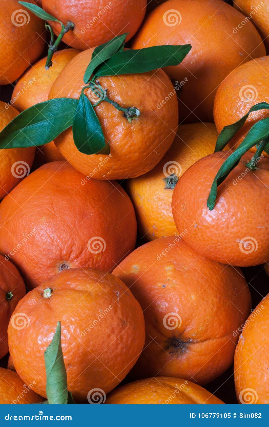 Mandarini immagine stock. Immagine di mandarini, agricoltura - 106779105