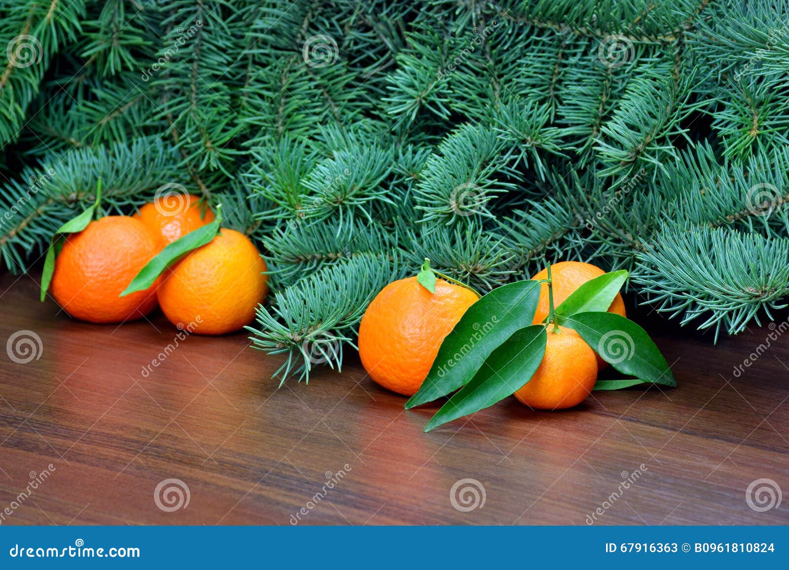 Mandarins stock image. Image of nostalgia, rural, country - 67916363