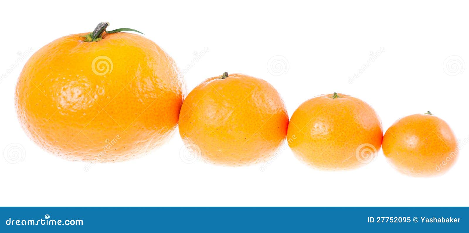 Mandarins by Height in a Line Stock Image - Image of ingredient ...