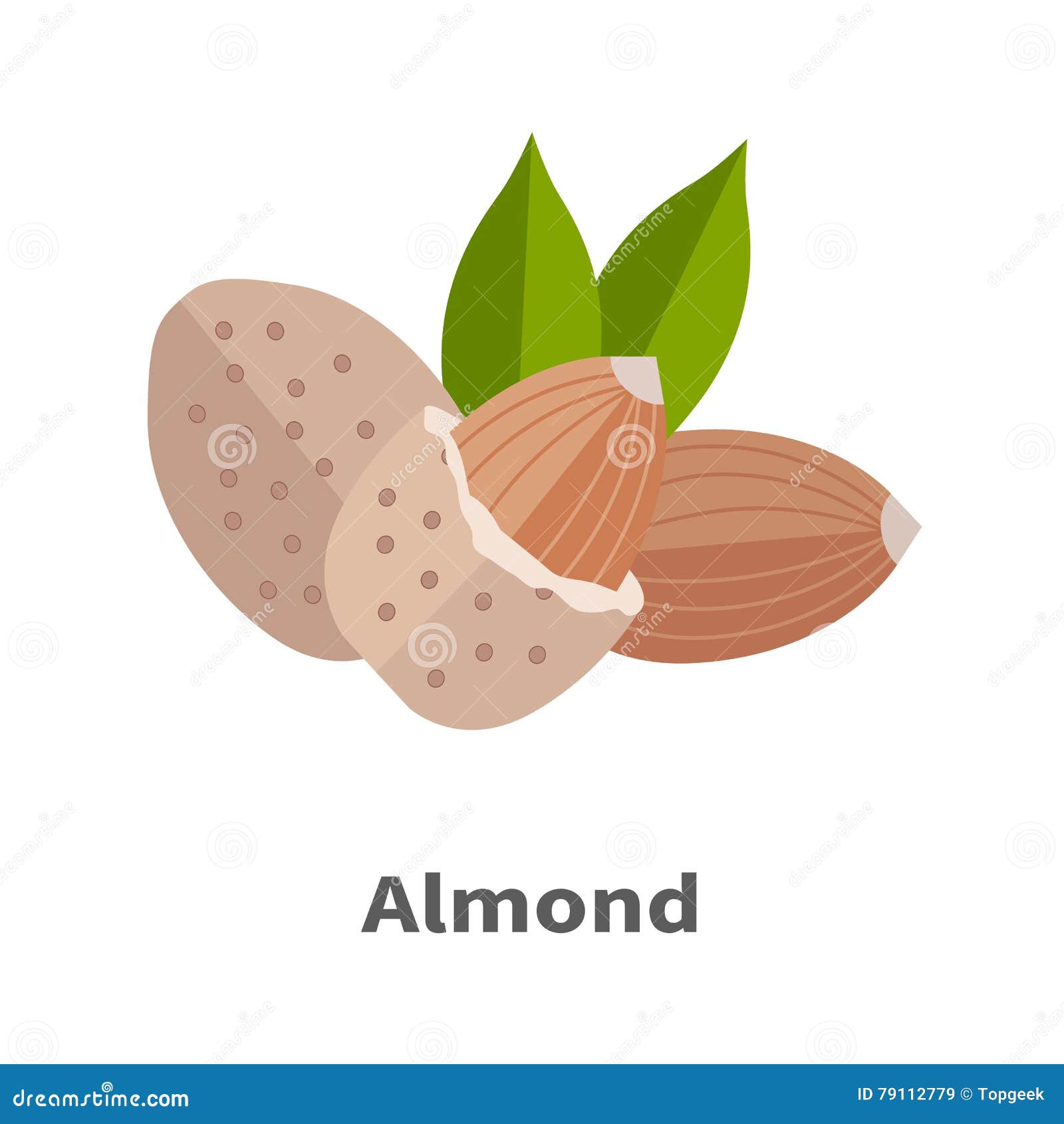 Mandel-Nuts Vektor-Illustration Im Flachen Design Vektor Abbildung ...