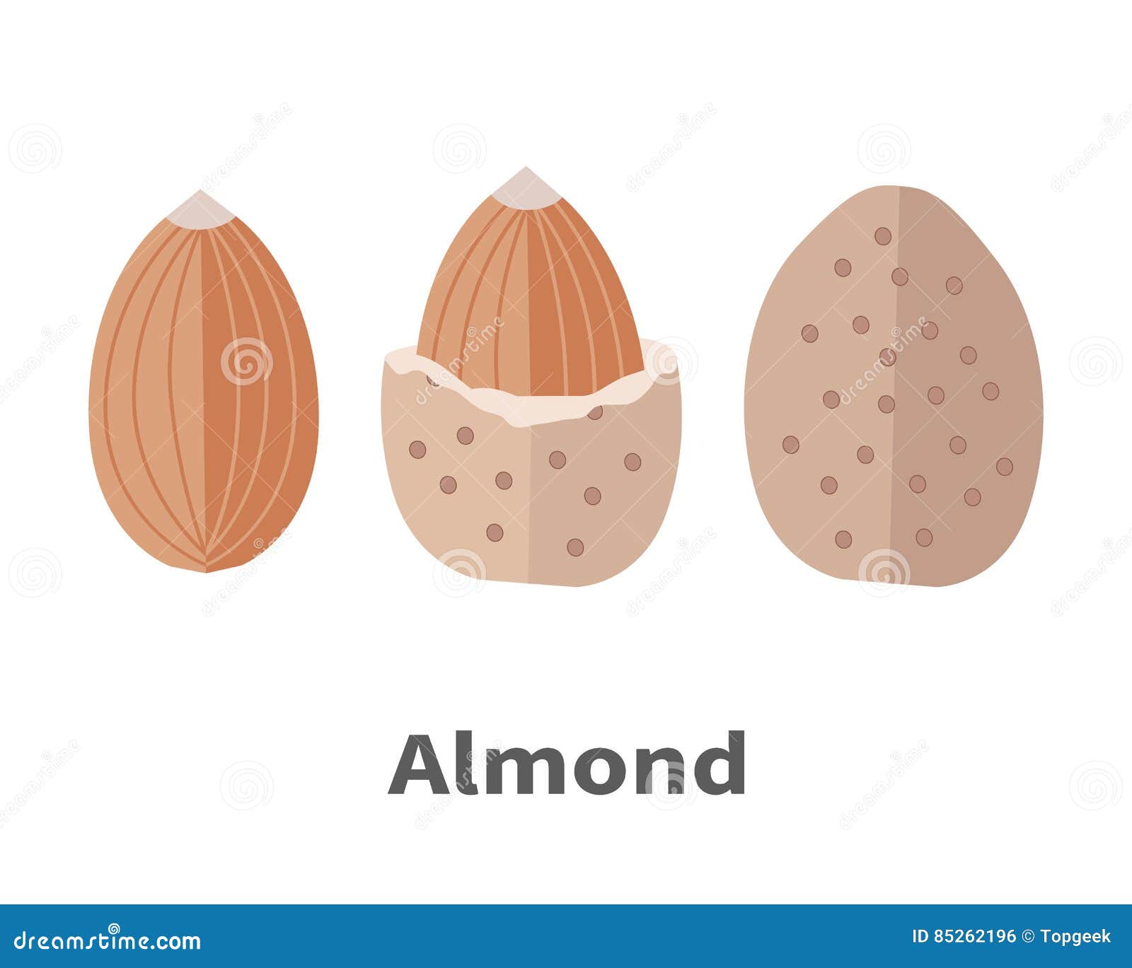 Mandel-Nuts Vektor-Illustration Im Flachen Design Vektor Abbildung ...