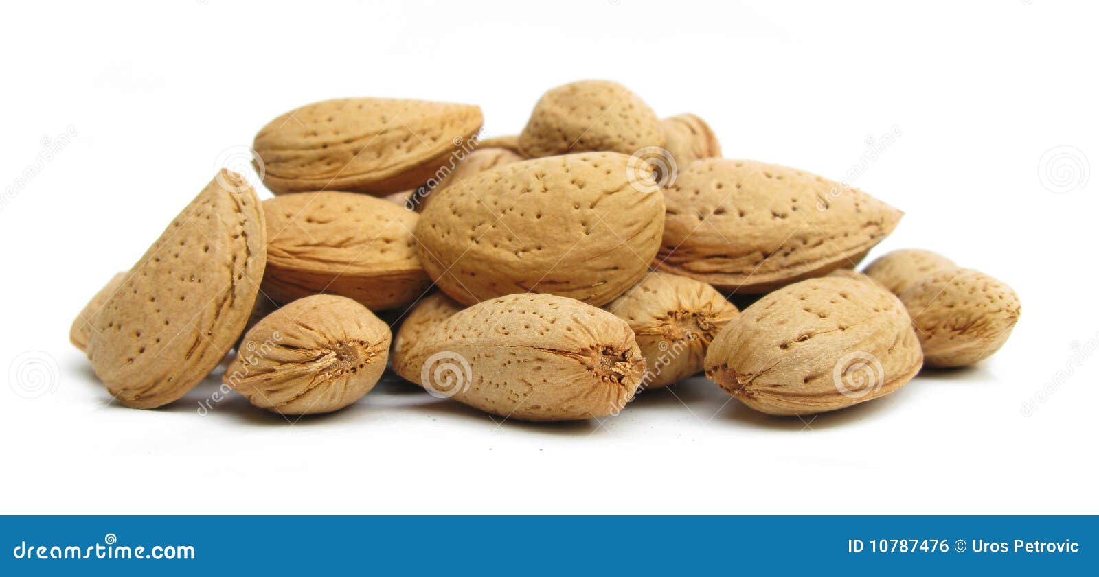 Mandeln stockfoto. Bild von horizontal, bild, blätter - 10787476