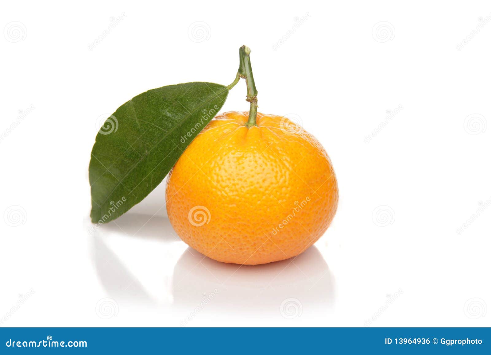 Manderine, Mandarina, Anaranjada Foto de archivo - Imagen de estudio ...