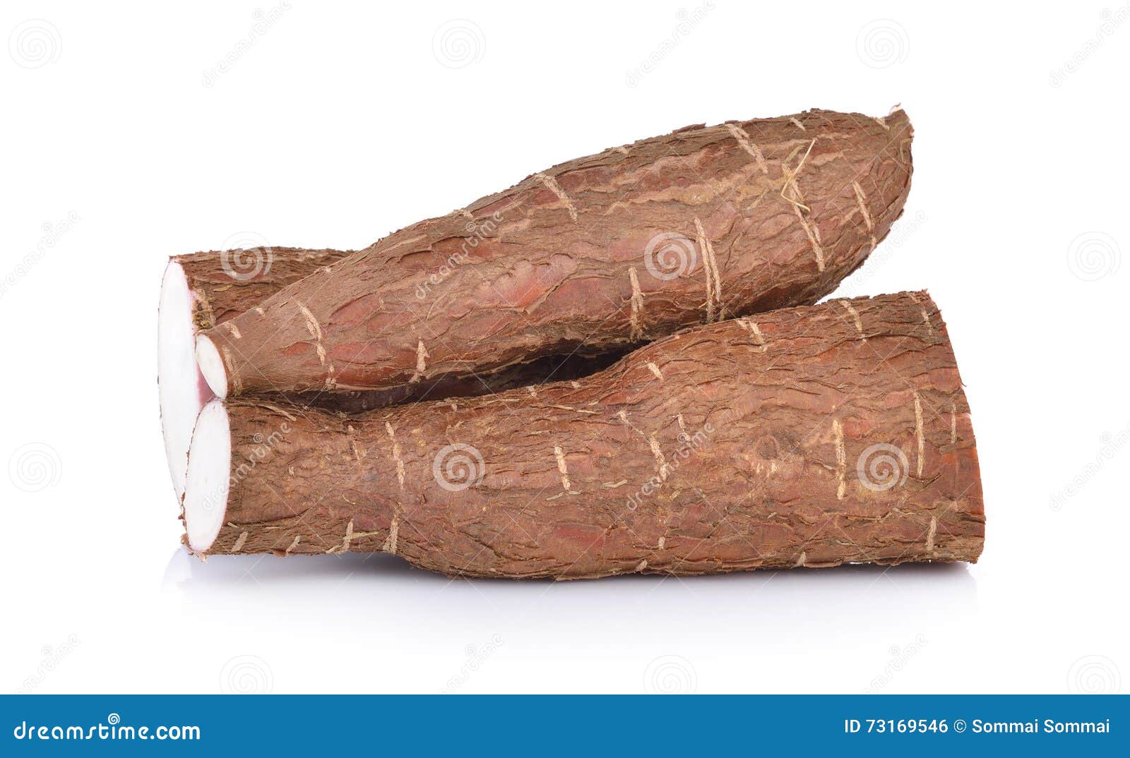 Mandioca foto de stock. Imagem de raiz, vegetal, planta - 73169546