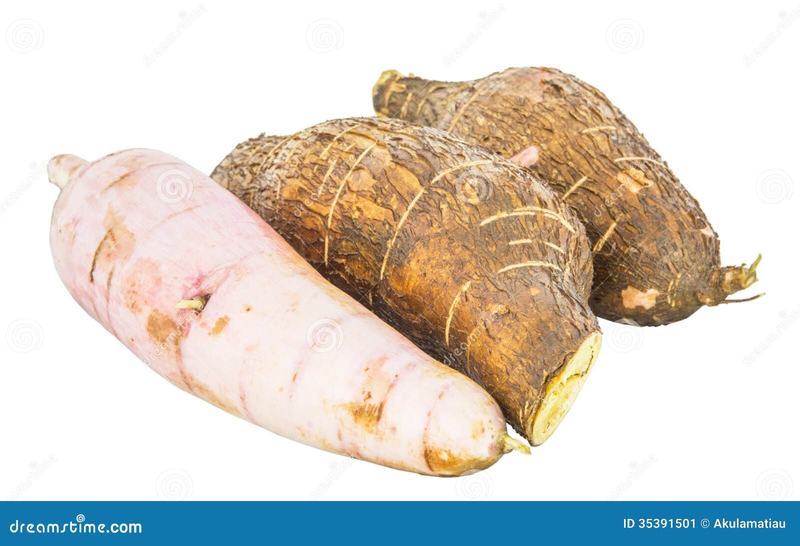 Mandioca I de la tapioca imagen de archivo. Imagen de alimento - 35391501