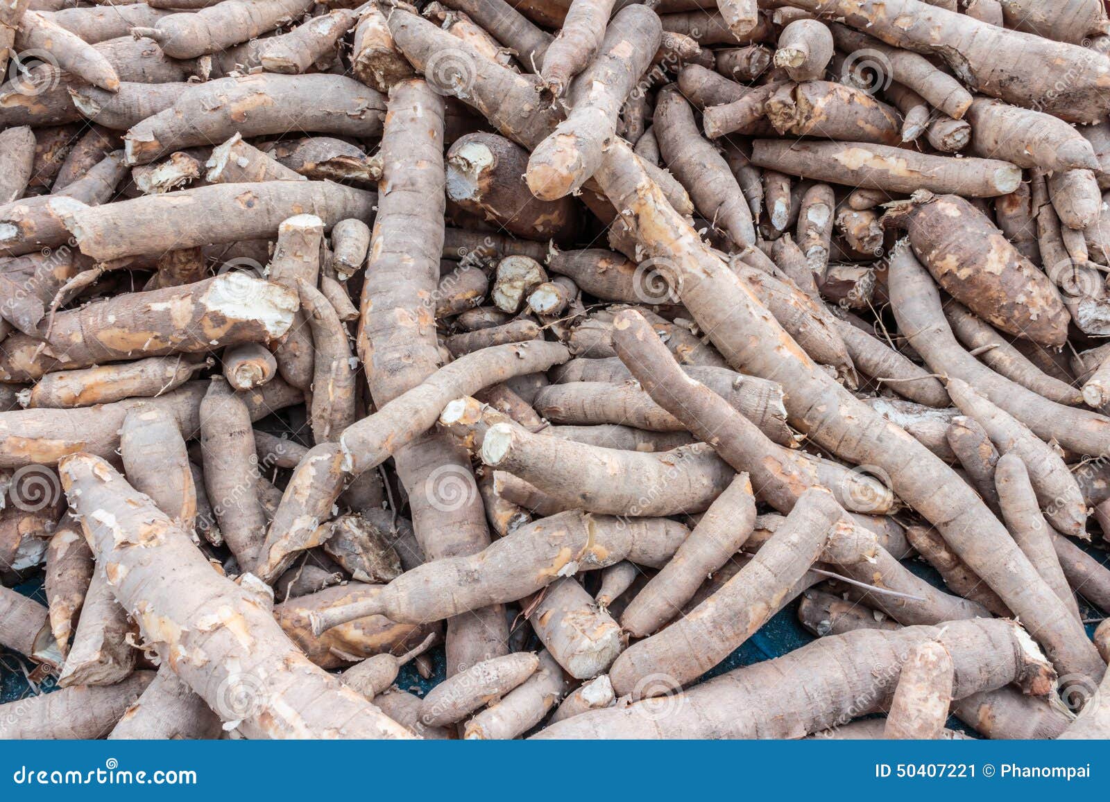 Mandioca, Tapioca, Mandioca Imagem de Stock - Imagem de fruta ...
