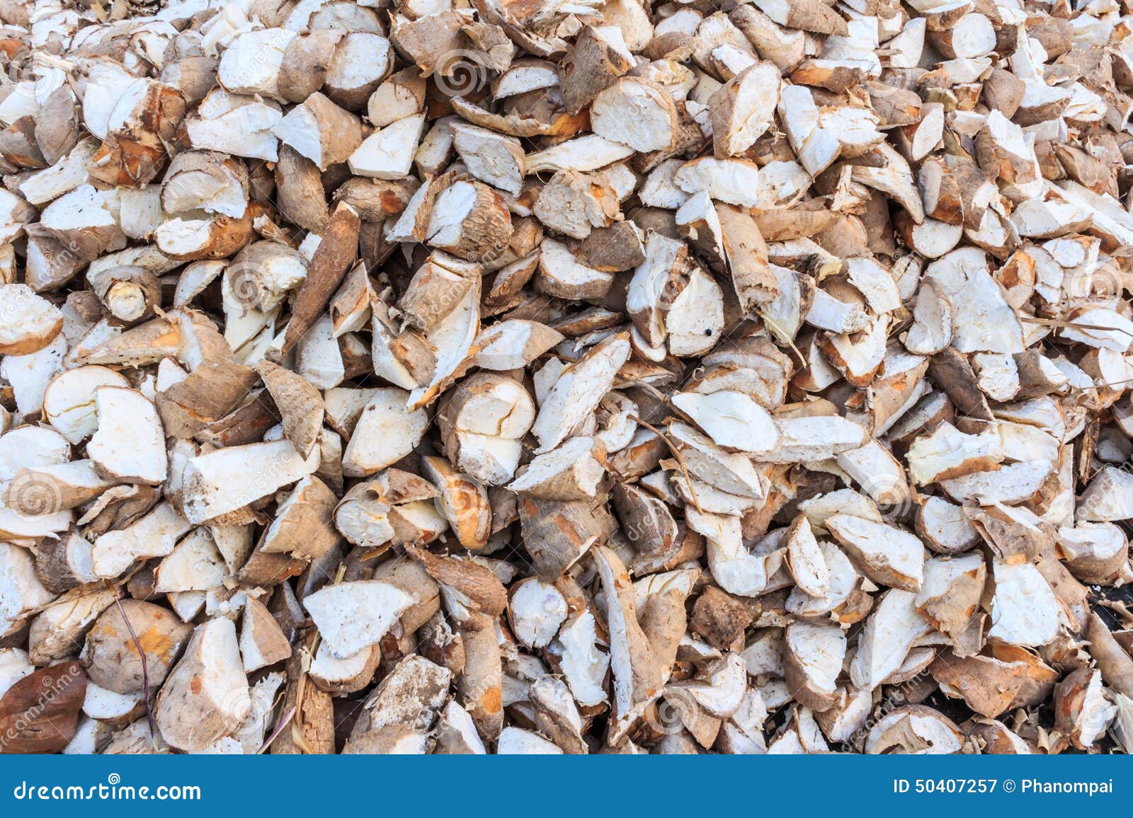 Mandioca, Tapioca, Mandioca Imagen de archivo - Imagen de granos ...