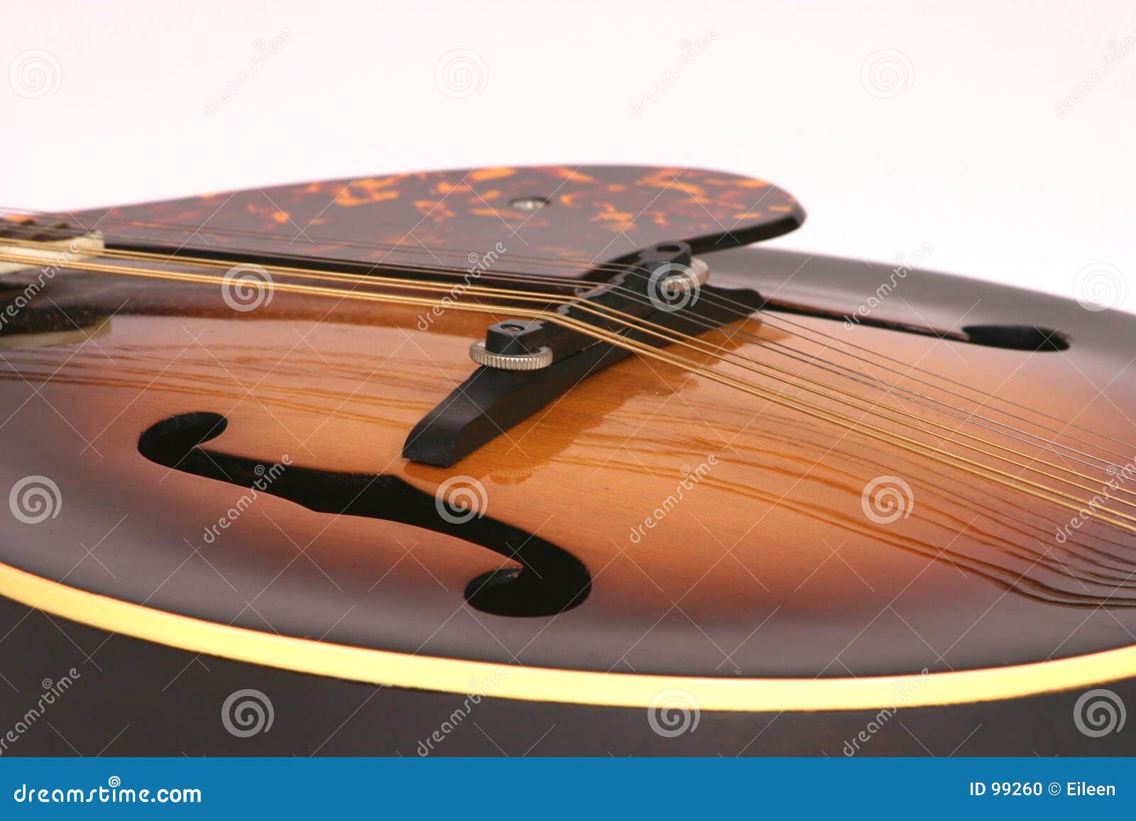 Mandolin stock photo. Image of mandolin, instrument, bass - 99260