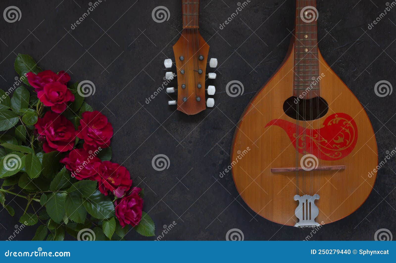 Mandolin - a Stringed Plucked Musical Instrument and a Beautiful Red ...