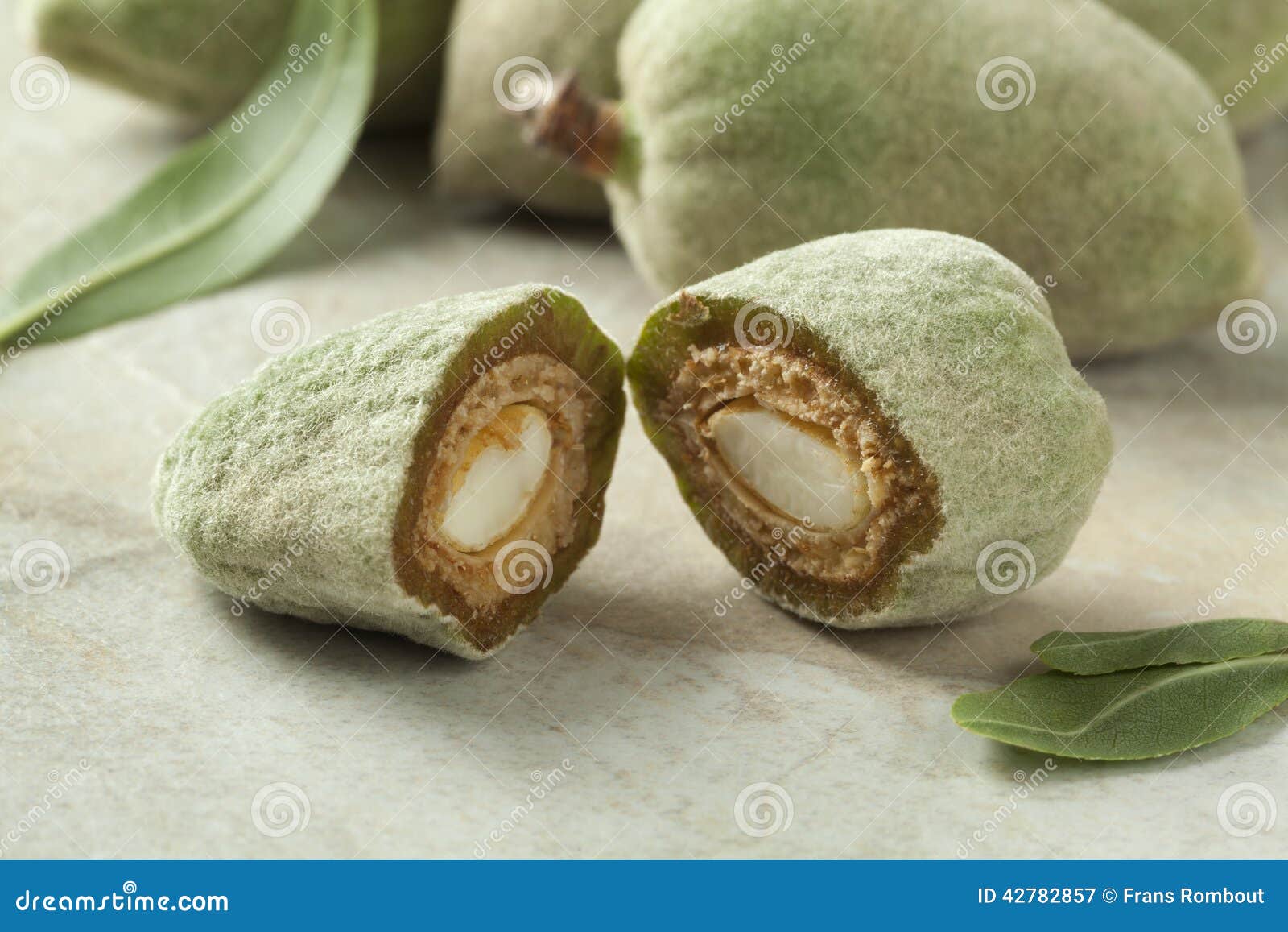 Mandorle verdi fresche immagine stock. Immagine di ingrediente - 42782857