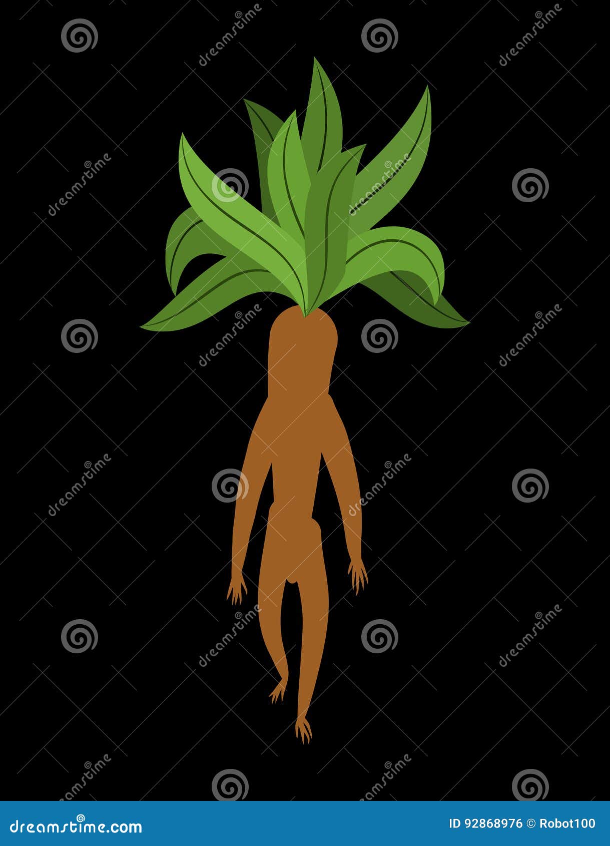 Mandrake Root Isolated. Legendary Mystical Plant in Form of Man. Stock ...