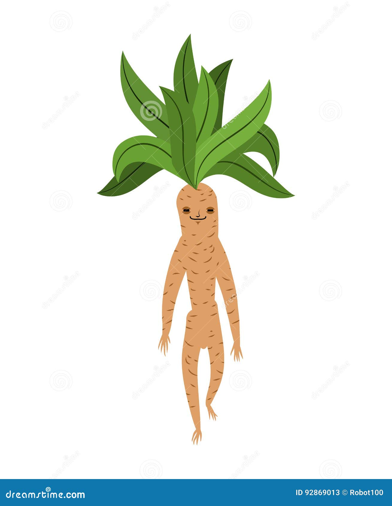 Mandrake Root Isolated. Legendary Mystical Plant in Form of Man. Stock ...