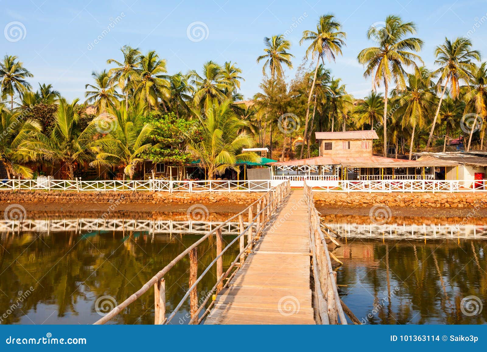 Mandrem beach Goa India stock photo. Image of ocean - 101363114