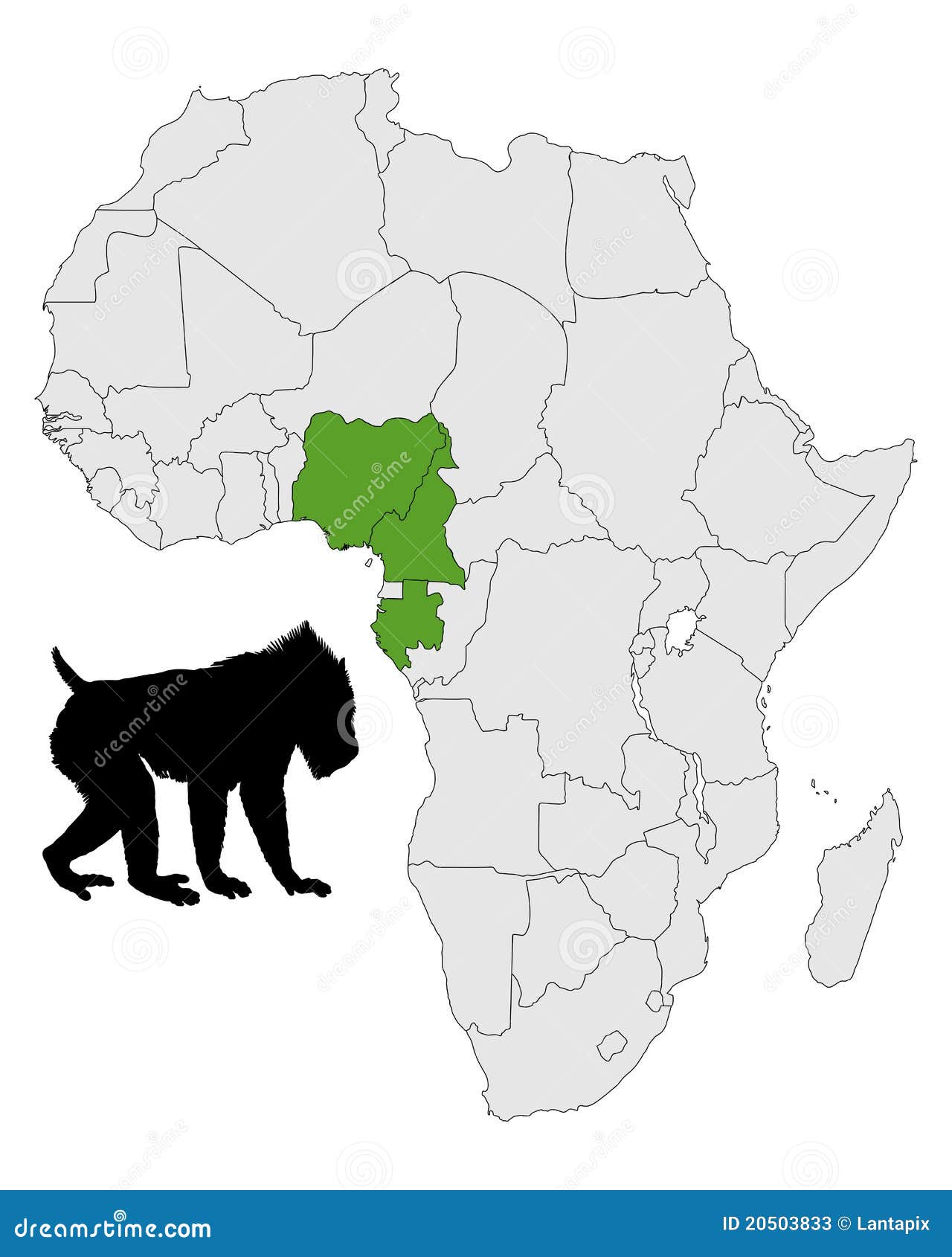 Mandrill range map stock vector. Illustration of sphinx - 20503833