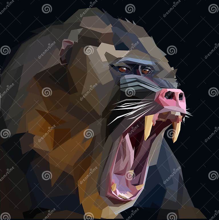 Mandrill stock illustration. Illustration of face, doodle - 62467745