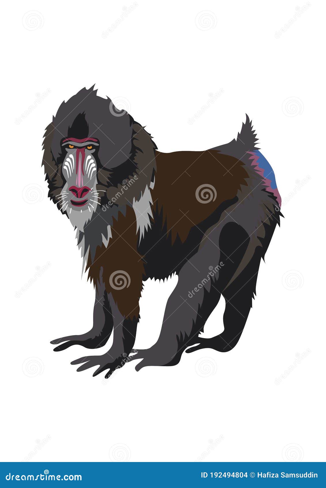 Mandrill. Vector Illustration Decorative Design Stock Vector ...