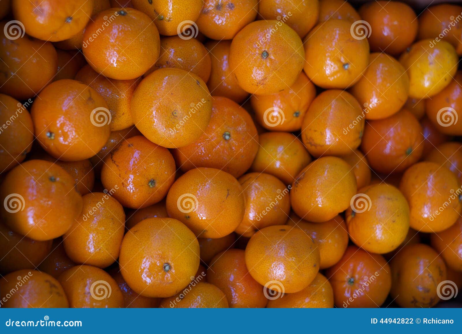 Mandrin Oranges stock photo. Image of fresh, tropical - 44942822
