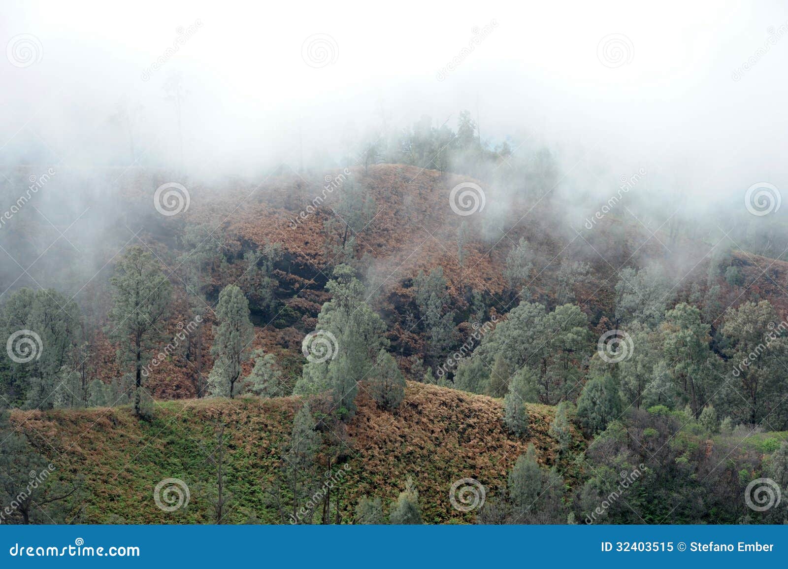 A Maneira Ao Vulcano Ijen Na Ilha De Java Imagem de Stock - Imagem de ...