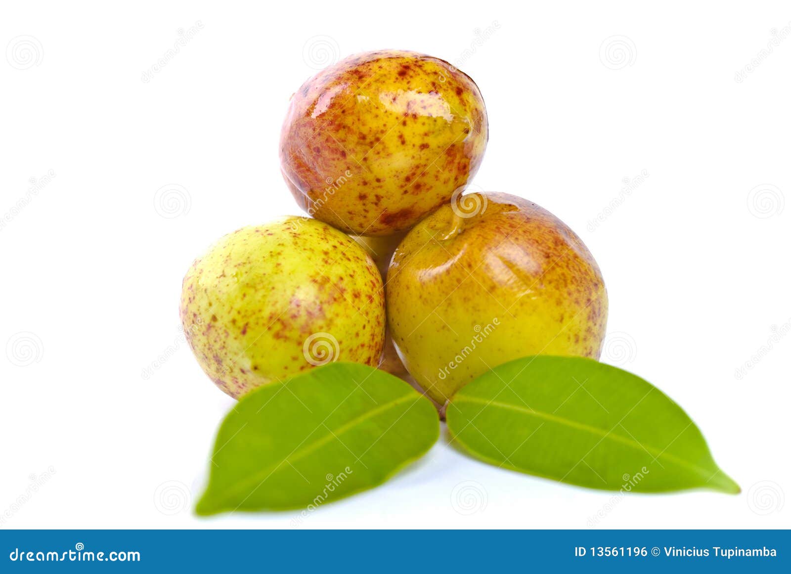 Mangaba stock photo. Image of ingredient, fruit, mangaba - 13561196
