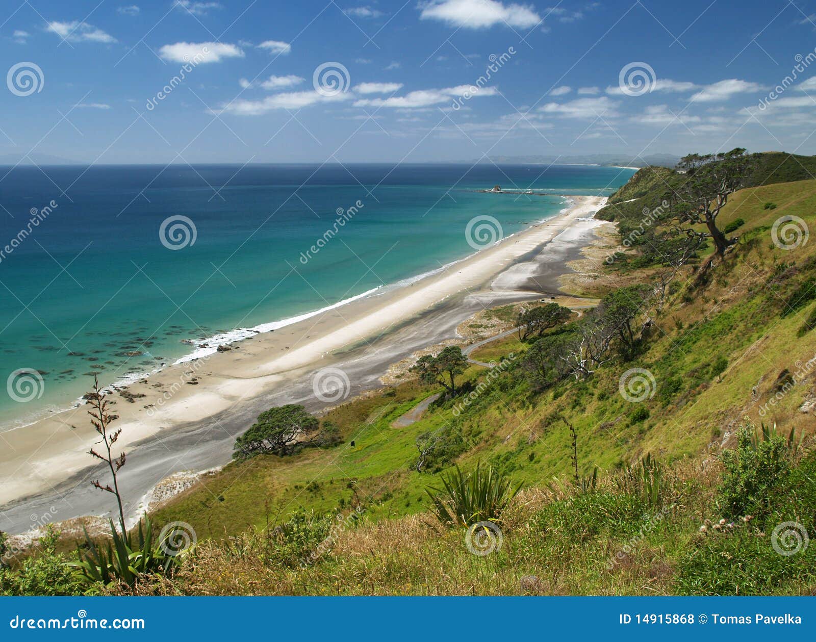 Mangawhai Heads beach stock photo. Image of zealand, island - 14915868