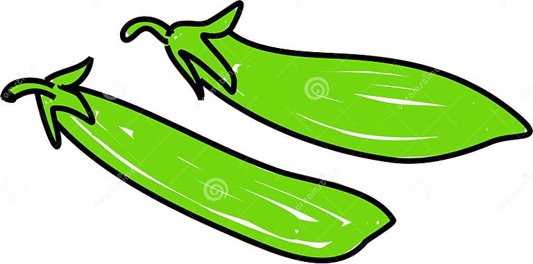 Mange tout stock vector. Illustration of vegetables, mange - 2059186