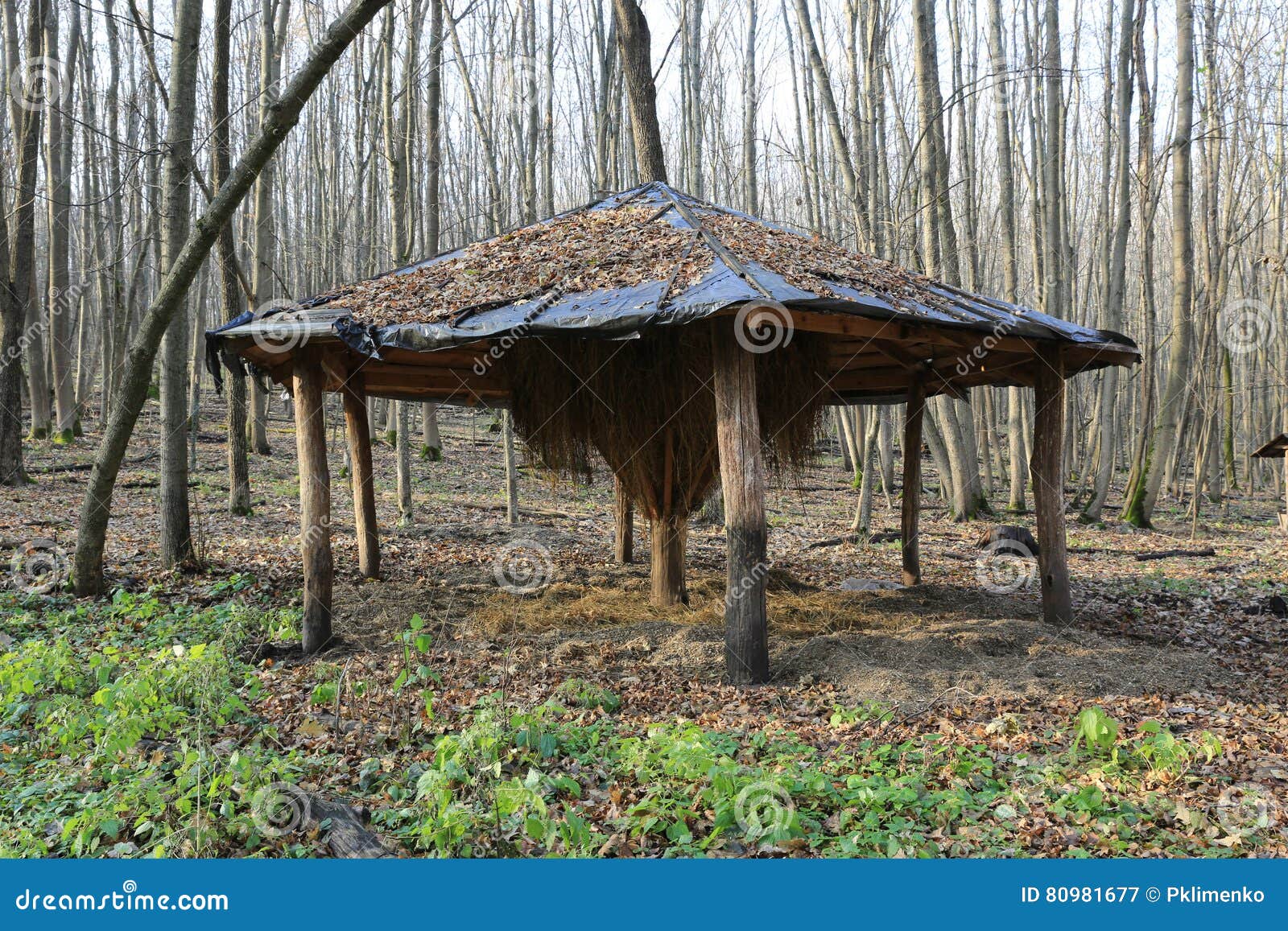 Manger with Hay for the Wild Animals in Forest Stock Image - Image of ...