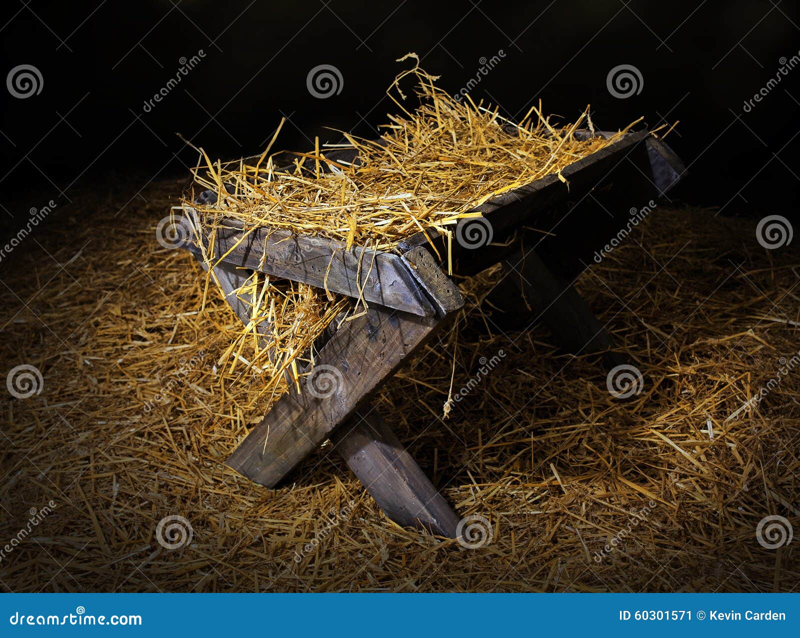 Cow In Straw Manger Stock Image | CartoonDealer.com #142106083