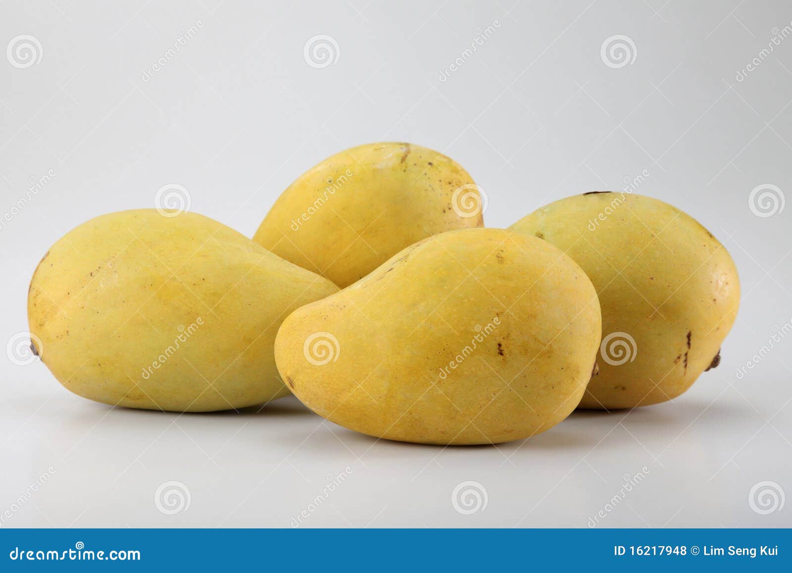 Manggo stock photo. Image of leaf, tropical, fruits, food - 16217948