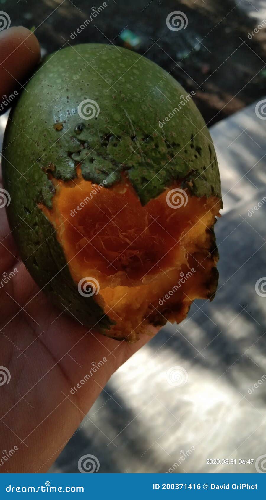 Mango Art Magic Stock Photos - Free & Royalty-Free Stock Photos from ...