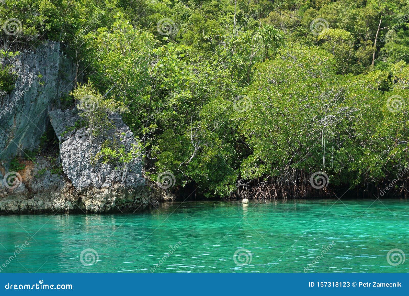 Manglares En La Isla De Piaynemo Imagen de archivo - Imagen de ...