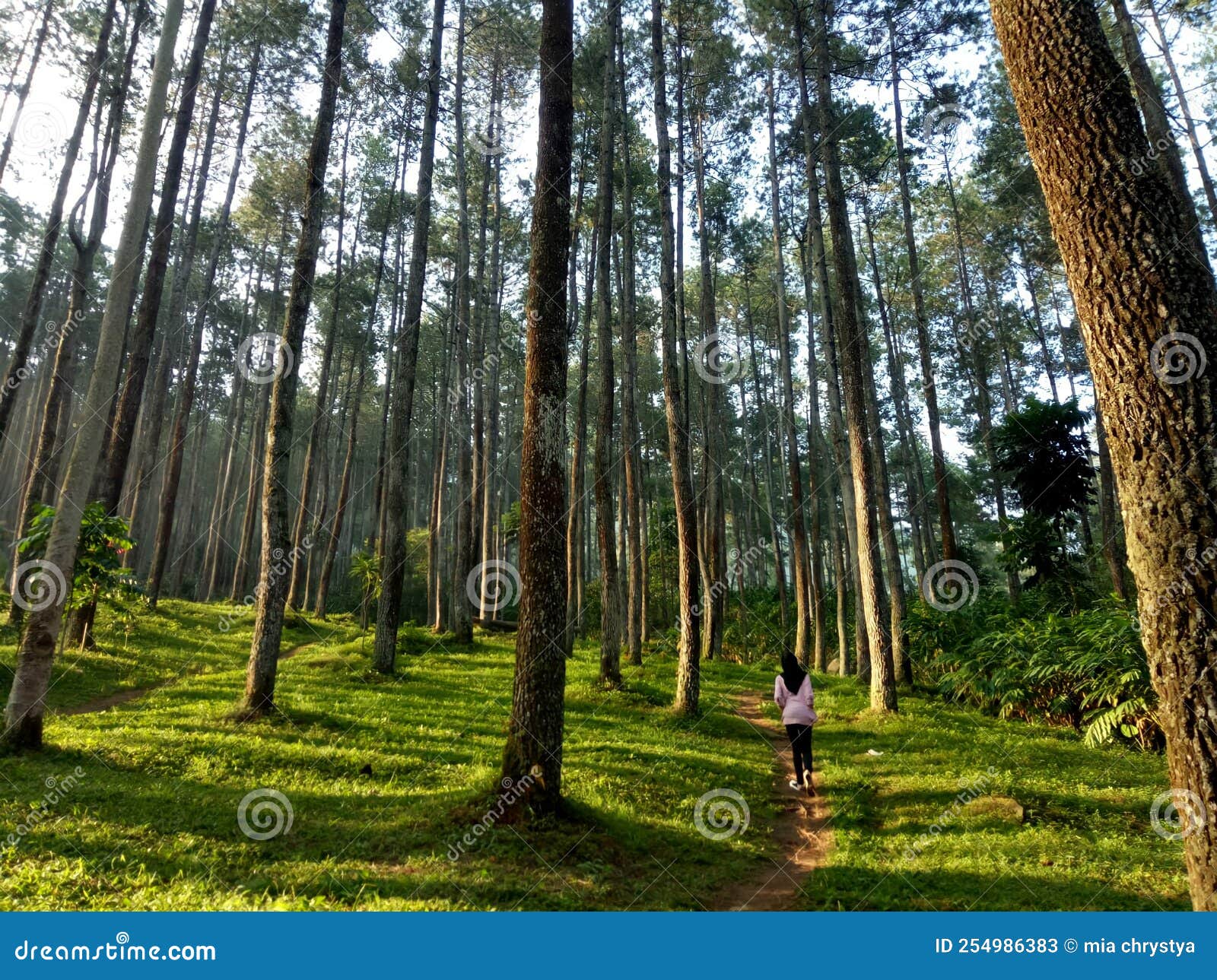 Manglayang mountain stock image. Image of mountain, kuda - 254986383