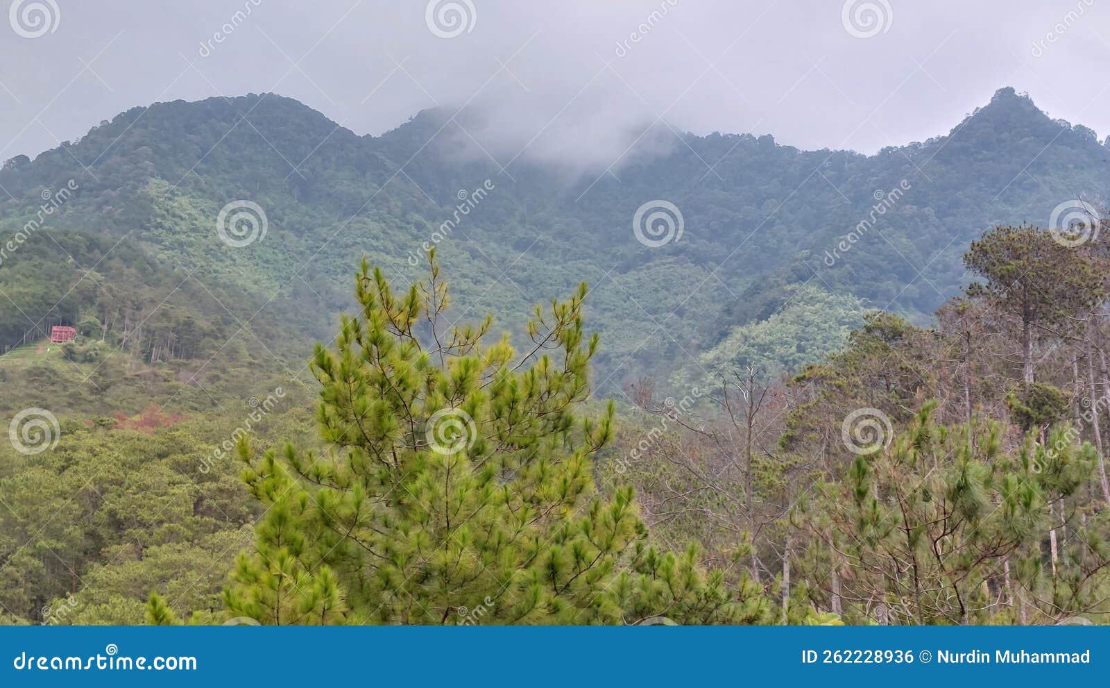 Manglayang Mountain Landscape Stock Photo - Image of flower, mountain ...