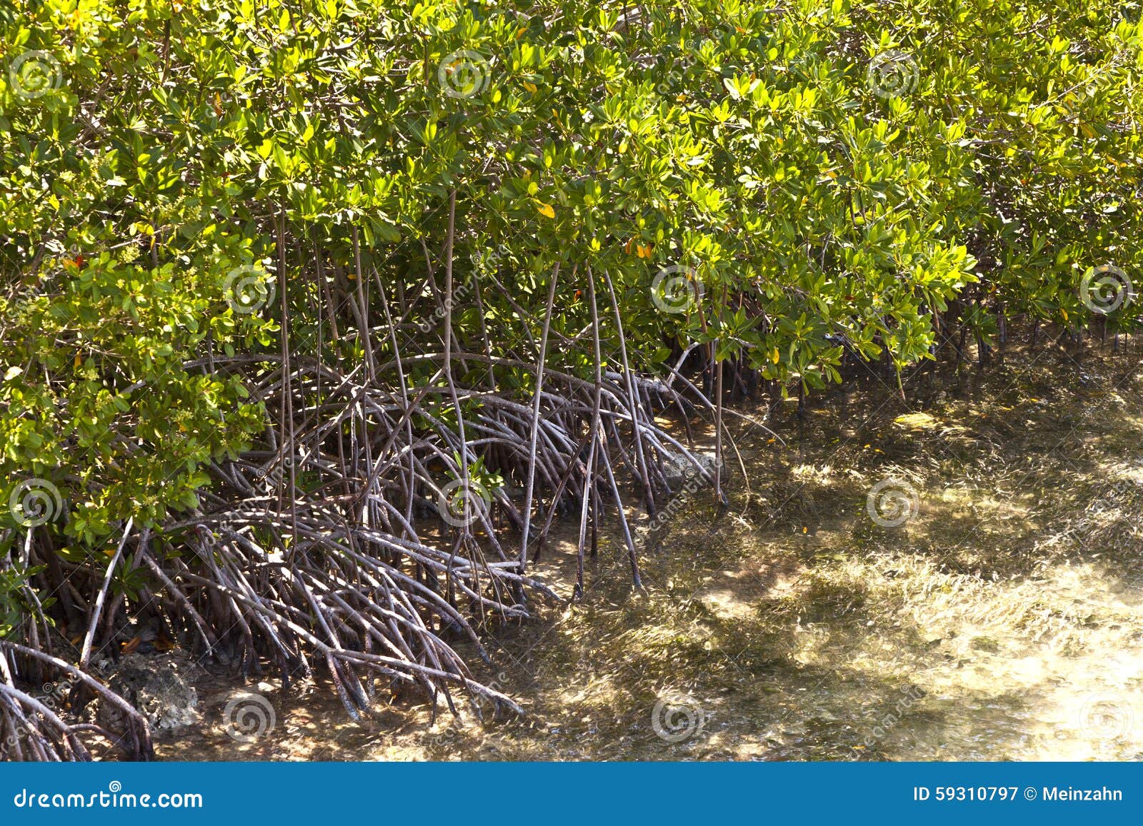 Mangles en las llaves imagen de archivo. Imagen de clave - 59310797