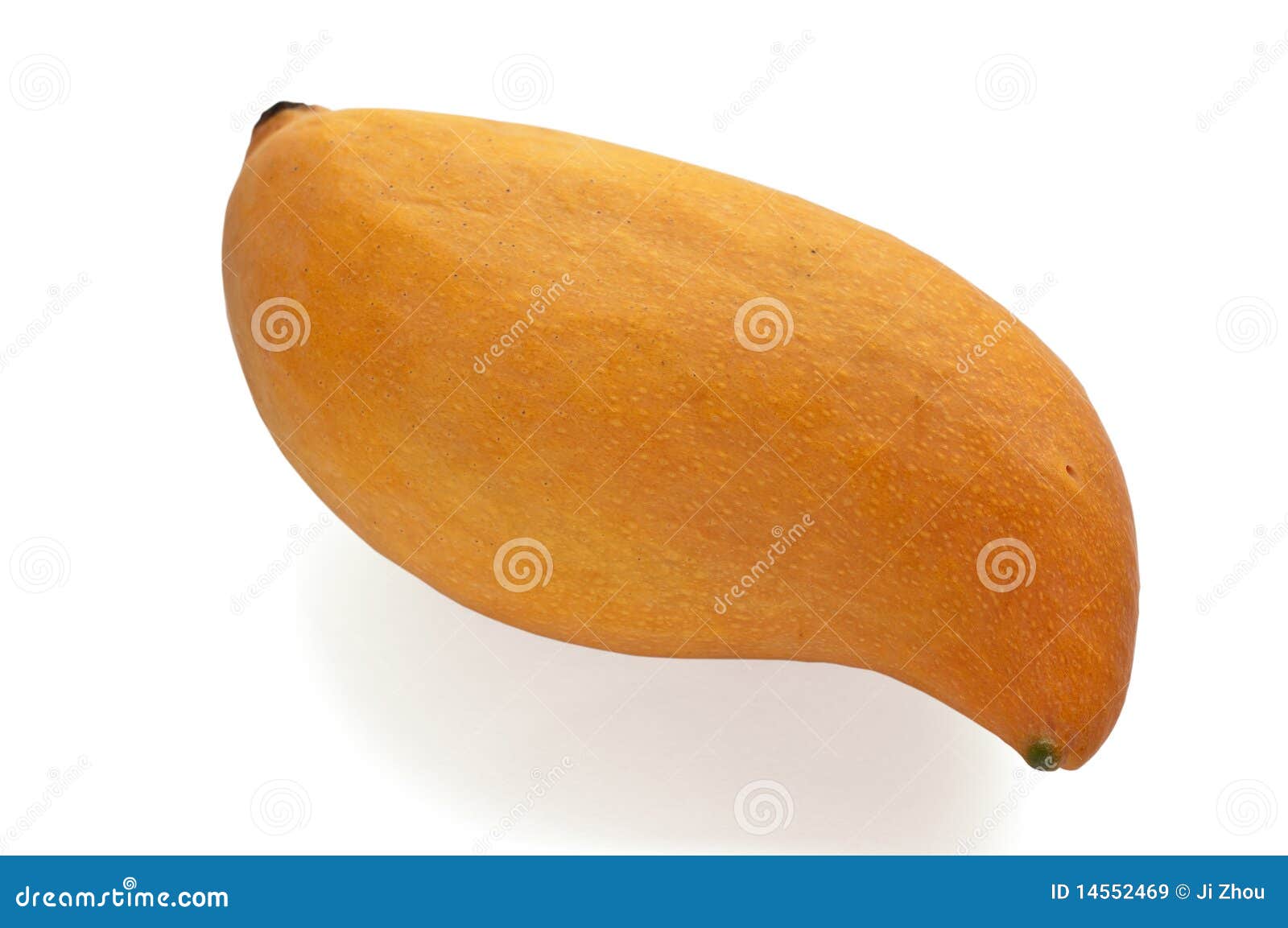 Mango stock image. Image of olecranon, exotic, tropica - 14552469