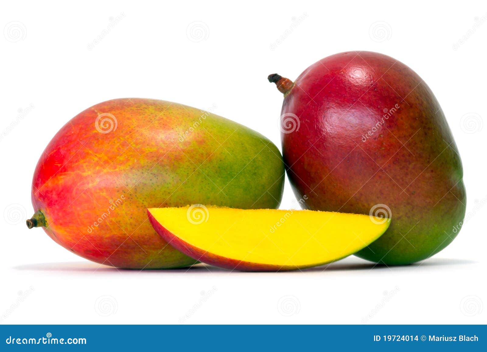 Mango stock photo. Image of fruit, nature, refreshment - 19724014