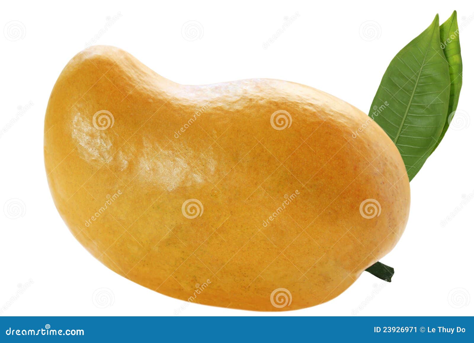 Mango stock image. Image of health, object, isolated - 23926971