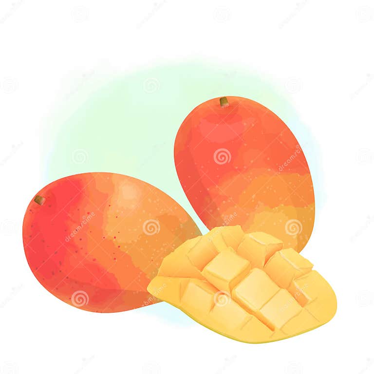 Watercolor Style Illustration, 2 Whole Mangoes and One Halved Mango ...