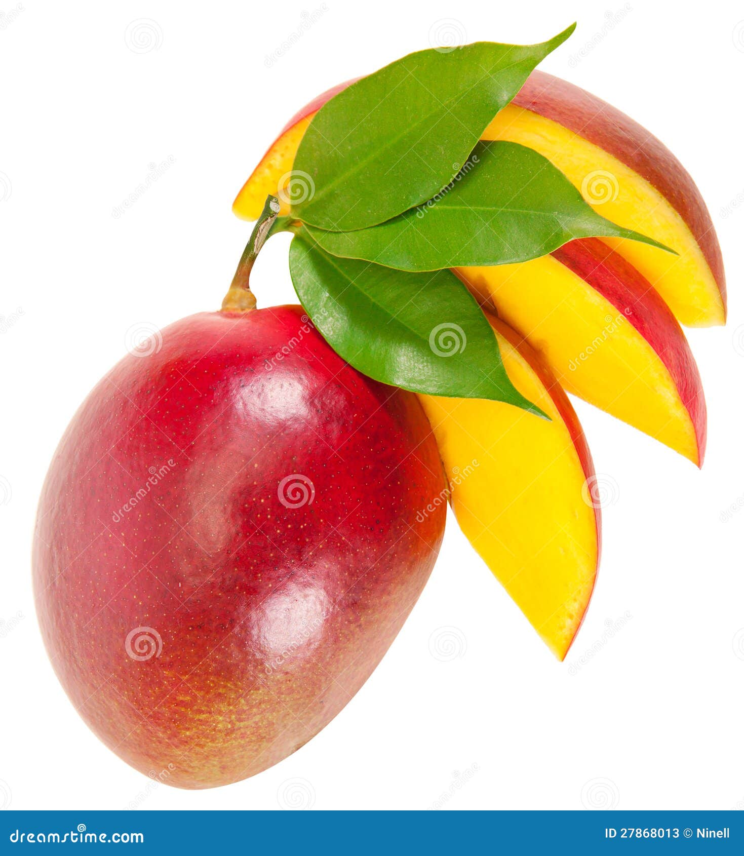 Mango fotografering för bildbyråer. Bild av jordbruk - 27868013