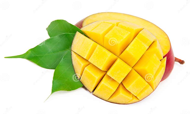 Mango stock photo. Image of object, mangoes, isolated - 28189520