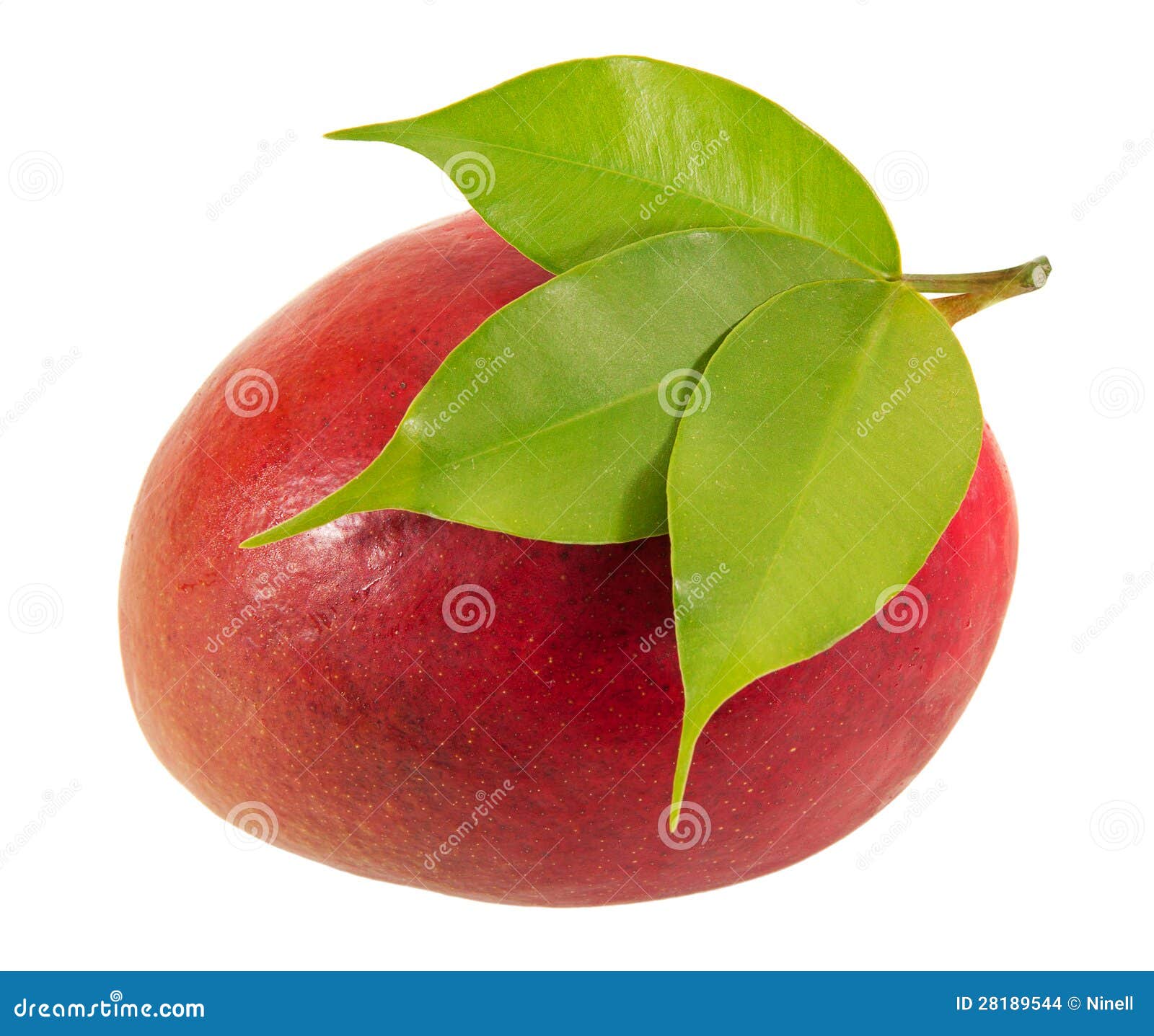 Mango foto de archivo. Imagen de frescura, fresco, sano - 28189544