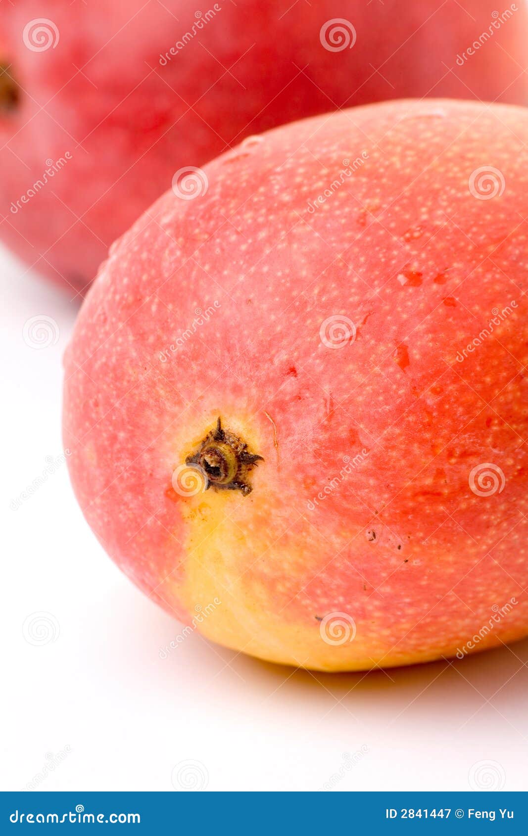 Mango stock image. Image of close, freshness, macro, mango - 2841447
