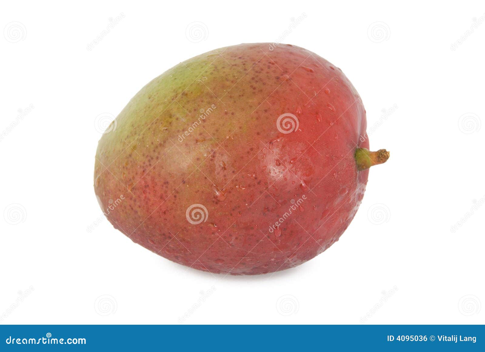 Mango. stock photo. Image of fruit, isolated, healthy - 4095036