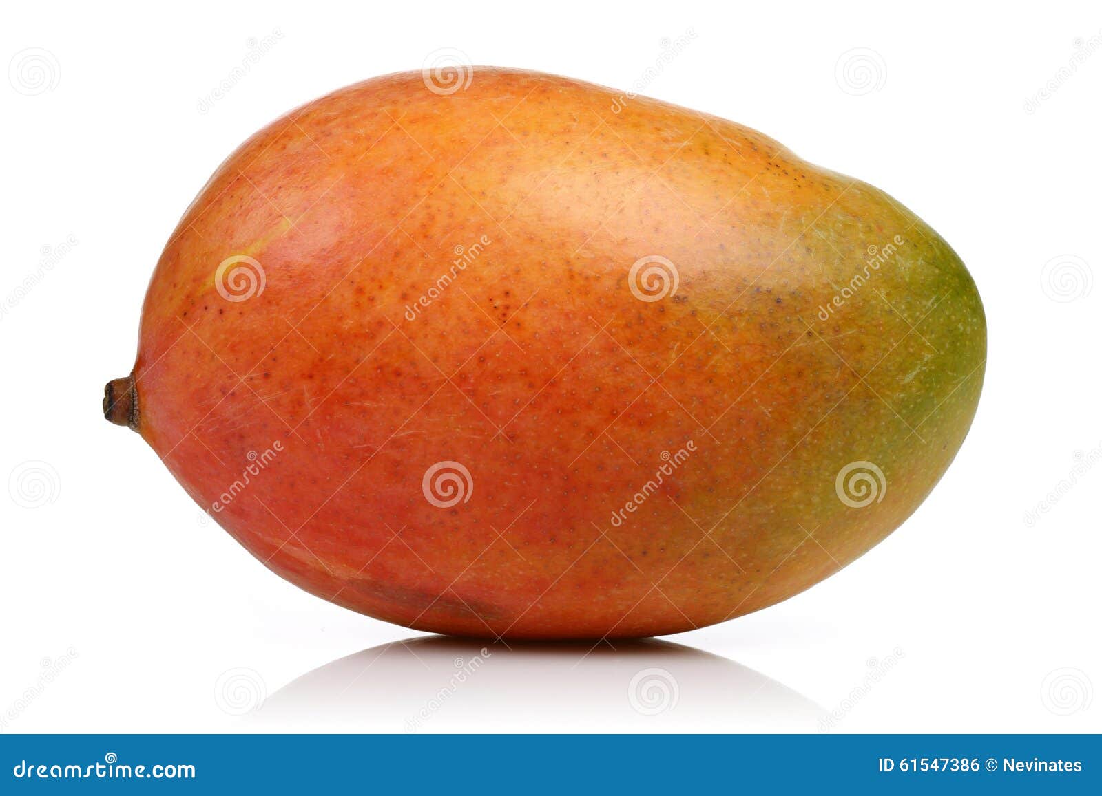 Mango fotografia stock. Immagine di isolato, nave, frutta - 61547386
