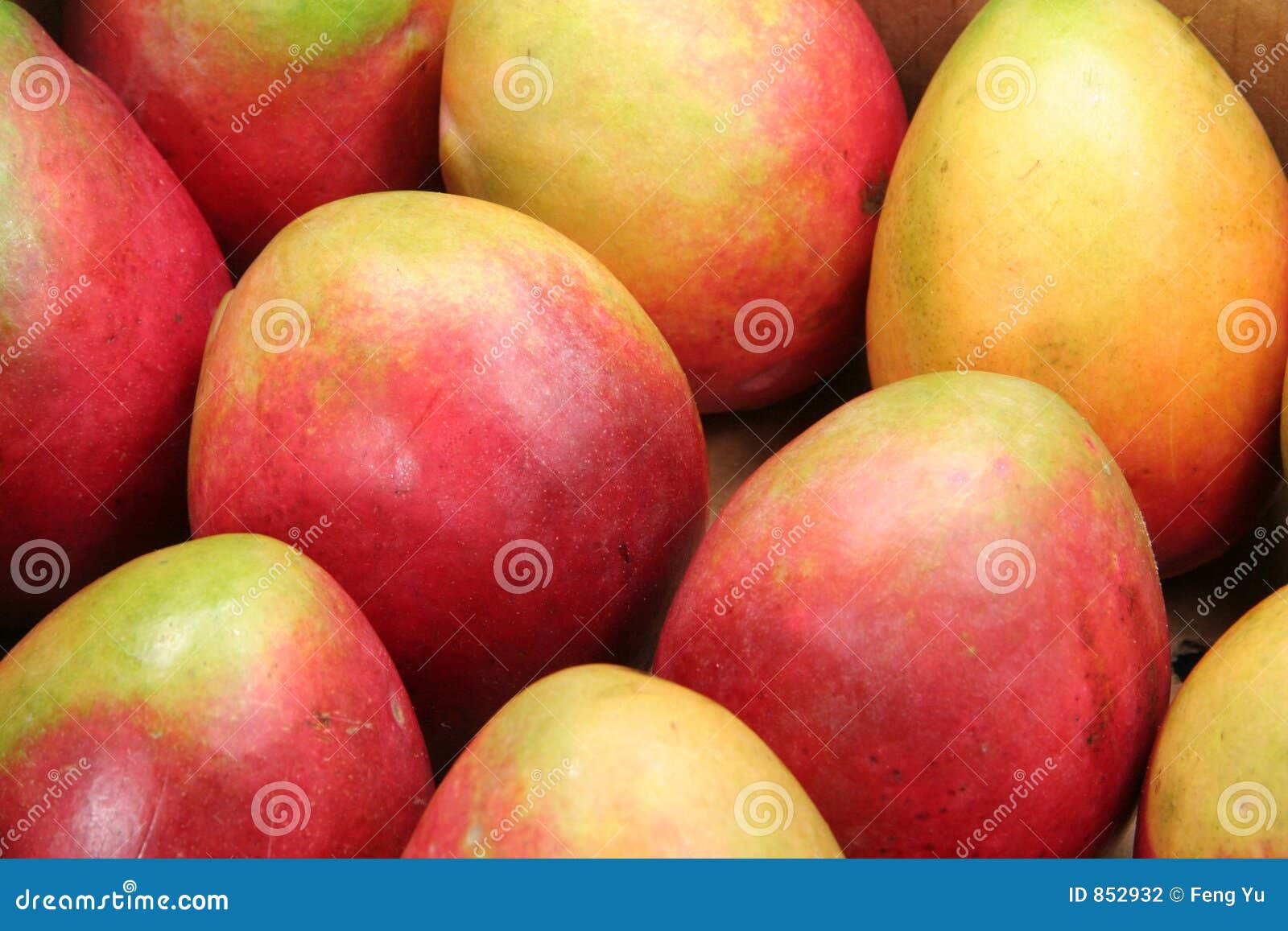 Mango stock photo. Image of food, green, fresh, health - 852932