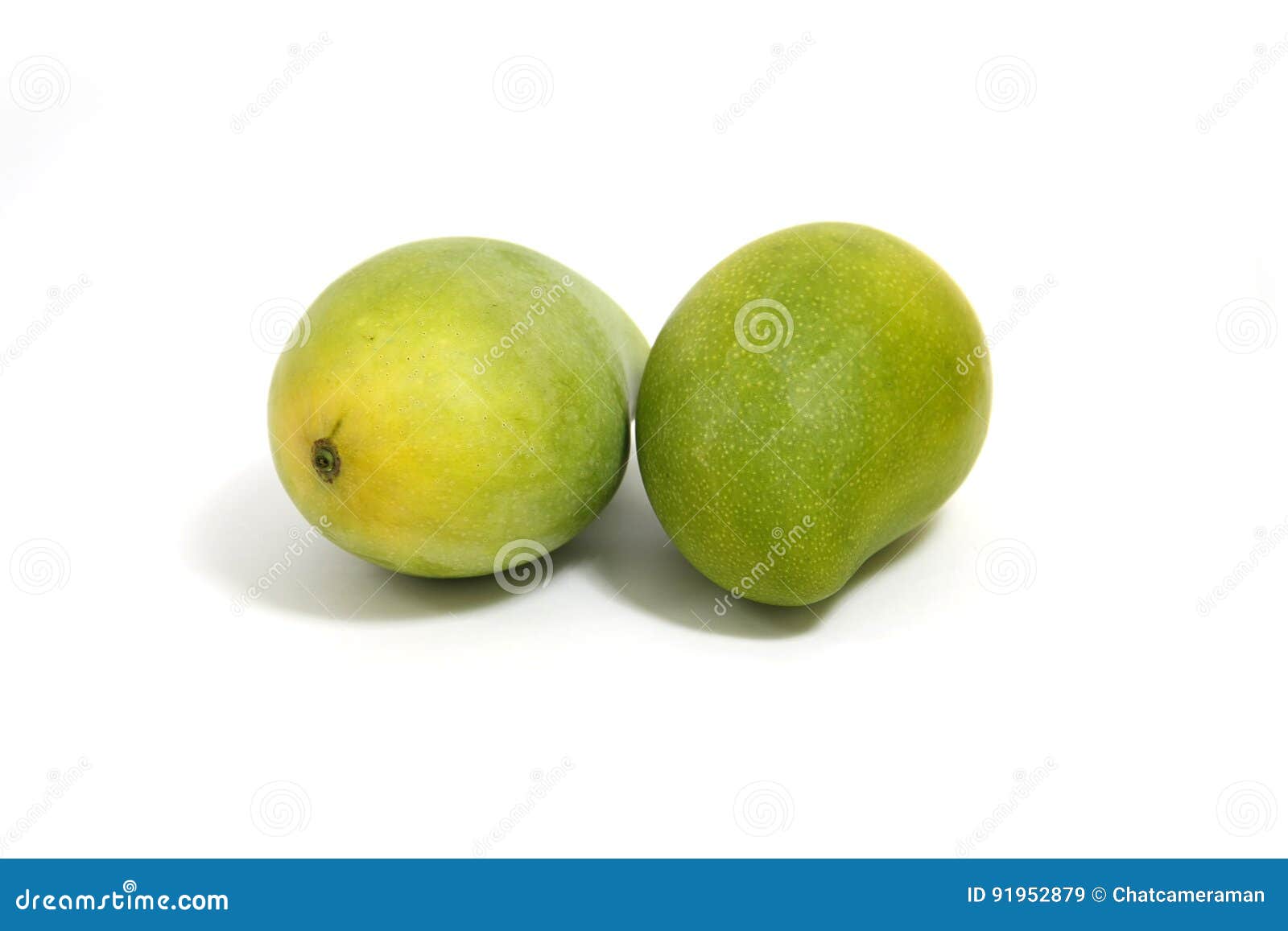 Mango fotografering för bildbyråer. Bild av guld, stängning - 91952879