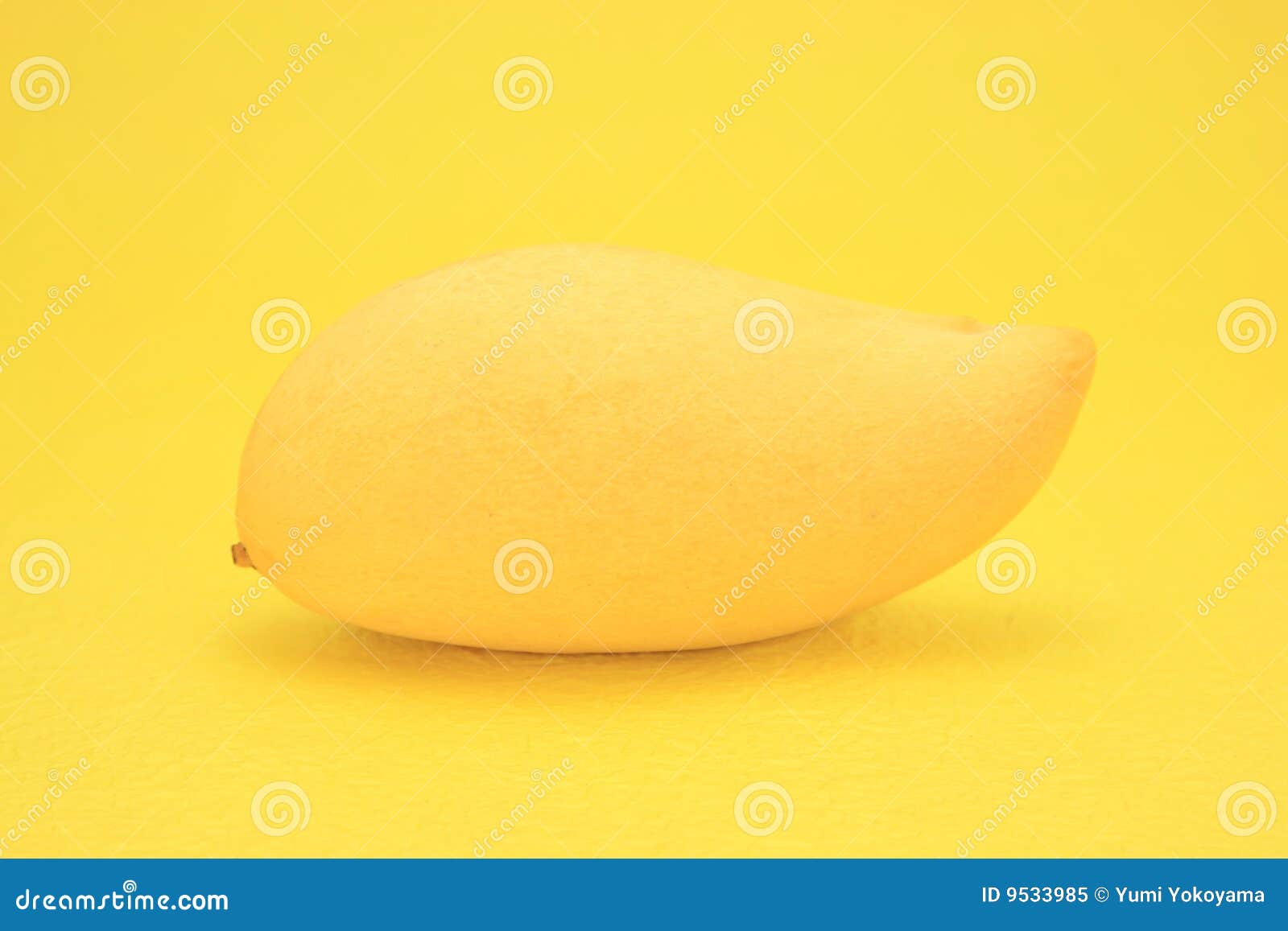 Mango stock image. Image of studio, yellow, front, mango - 9533985