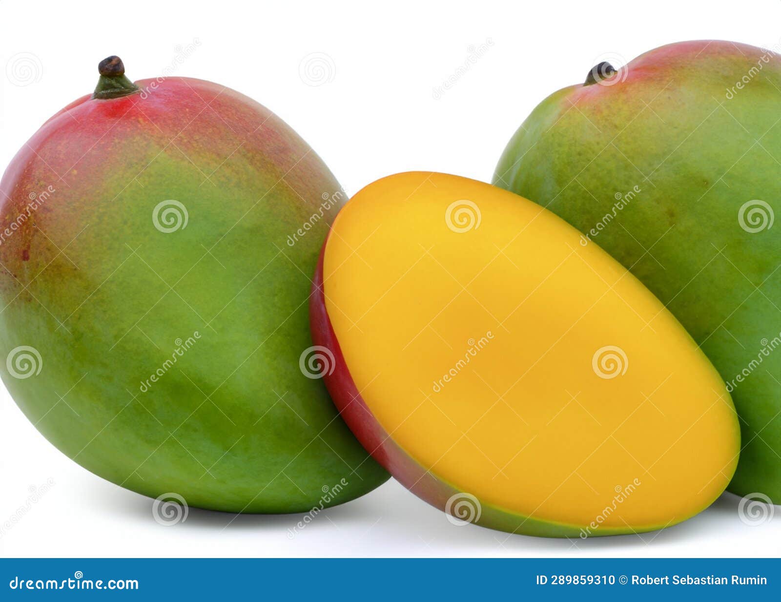 Mango ai stock de ilustración. Ilustración de flor, calabaza - 289859310